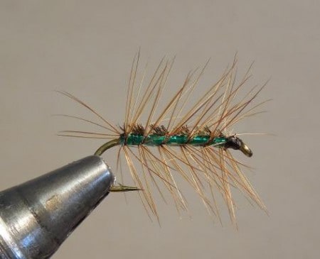 Crackleback | Branson Trout Fishing at River Run Outfitters